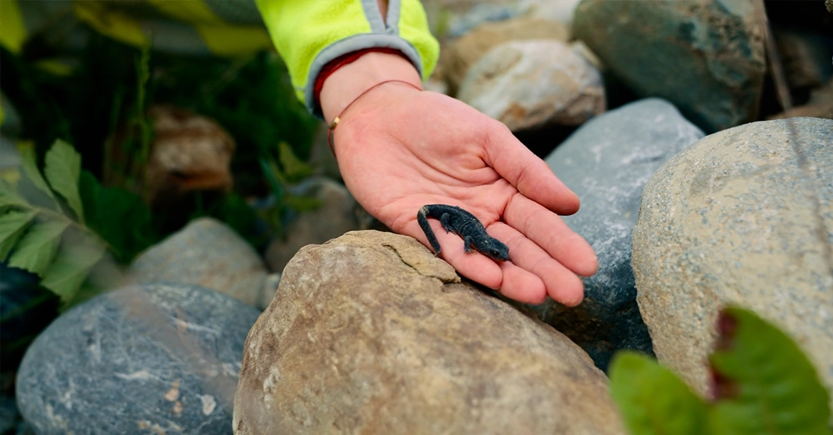 Le développement durable | GROUPE JPF